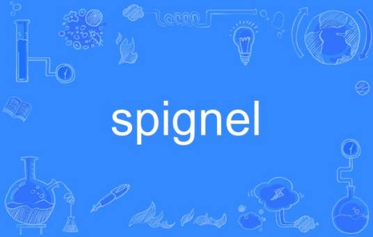spignel_百度百科