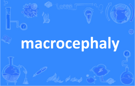 macrocephaly_百度百科