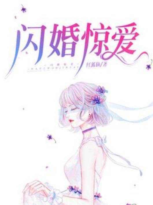 闪婚惊爱（红狐仙创作的现代言情小说）_百度百科
