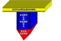 T型人才_百度百科