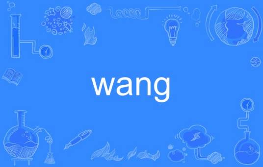 WANG（英文单词）_百度百科