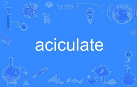 aciculate_百度百科