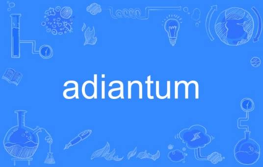 adiantum（英语单词）_百度百科