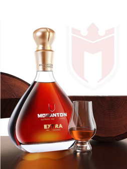 莫尼顿 Moranton_百度百科