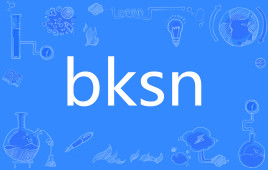 bksn_百度百科