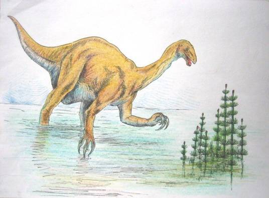 尹氏芦沟龙_百度百科