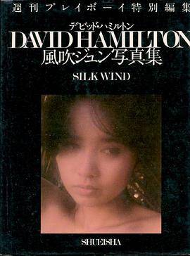 SILK WIND 绢の风_百度百科