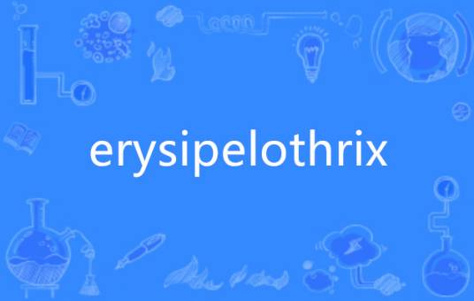 erysipelothrix_百度百科