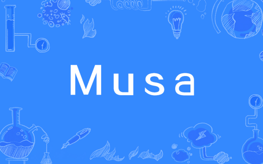 Musa（Pre5G技术中的多址接入技术）_百度百科