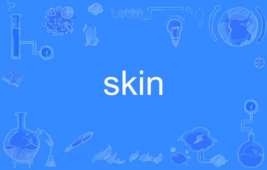 skin（英语单词）_百度百科