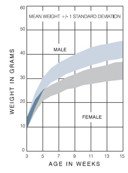 ICR小鼠_百度百科