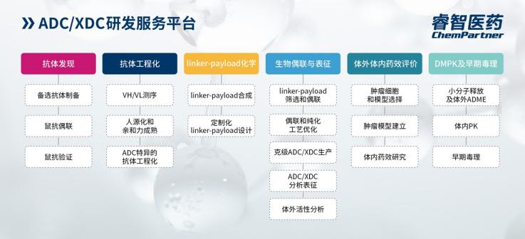 睿智医药科技股份有限公司_百度百科