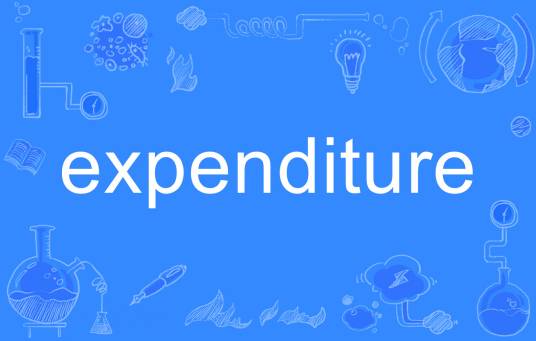 expenditure_百度百科