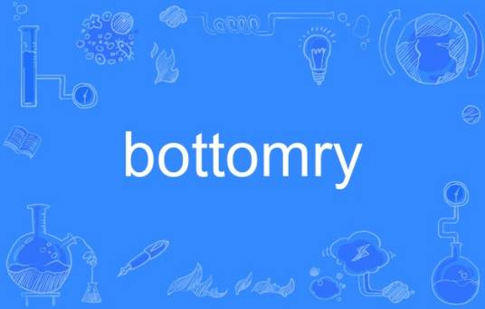 bottomry_百度百科