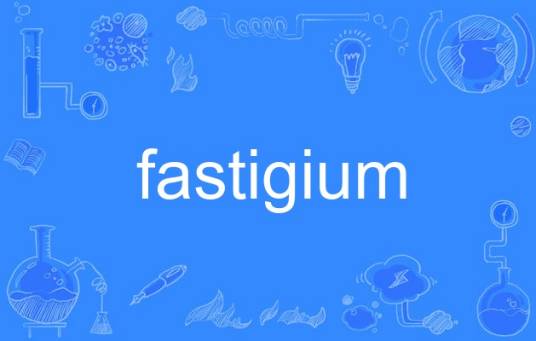 fastigium_百度百科