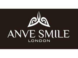 ANVE_百度百科