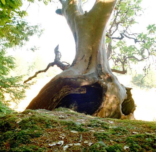 openEXR_百度百科