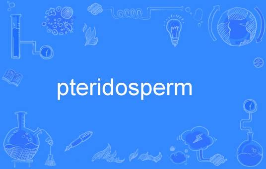 pteridosperm_百度百科