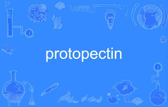 protopectin_百度百科