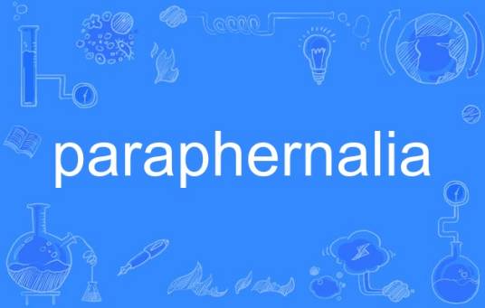 paraphernalia_百度百科