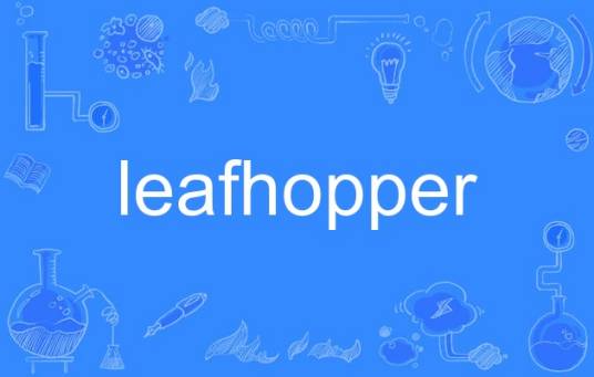 leafhopper_百度百科