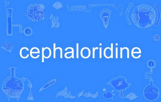 cephaloridine_百度百科