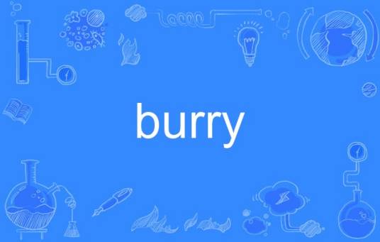 burry_百度百科