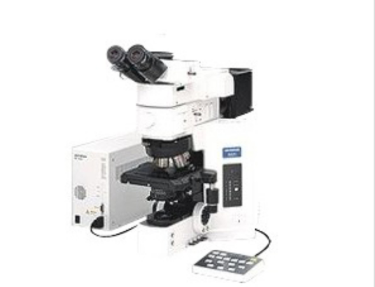 奥林巴斯BX61-32FAI-S09_百度百科