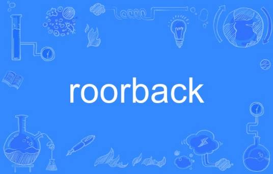 roorback_百度百科