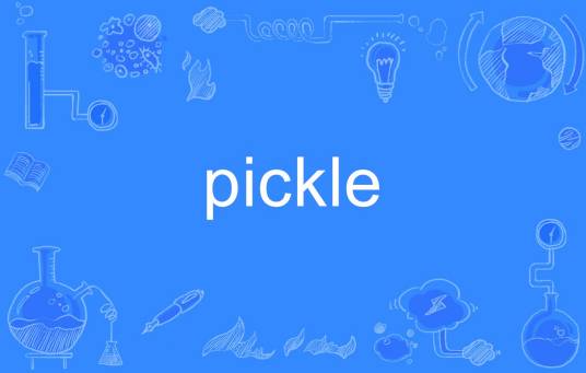 pickle（英语单词）_百度百科