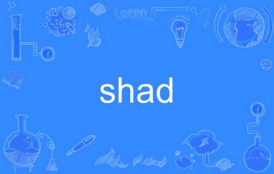 shad_百度百科