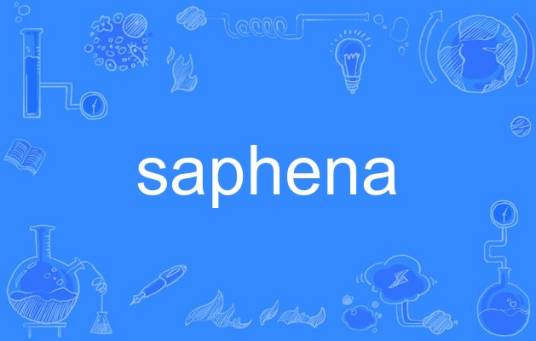 saphena_百度百科