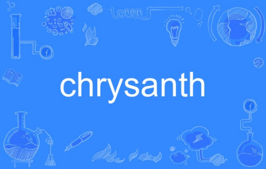 chrysanth_百度百科