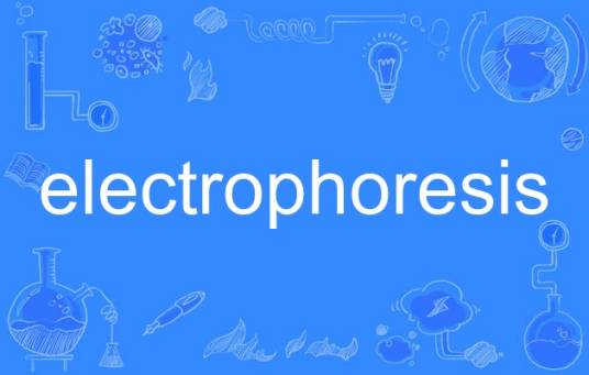 electrophoresis（英语单词）_百度百科