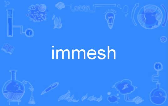 immesh_百度百科