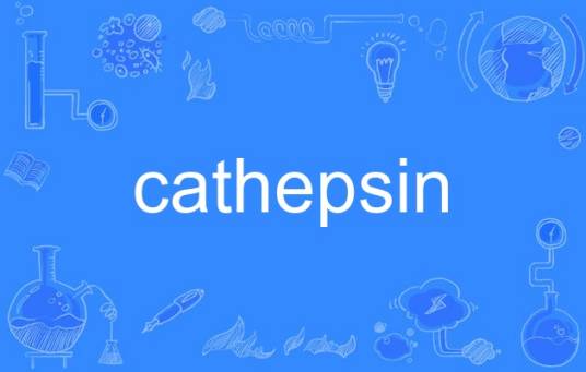 cathepsin_百度百科
