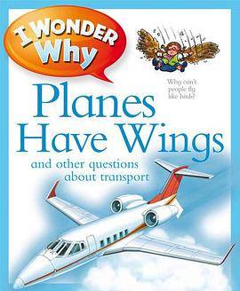 I Wonder Why Planes Have Wings_百度百科