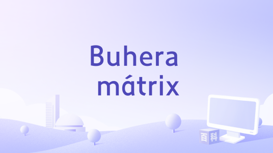 Buhera mátrix_百度百科