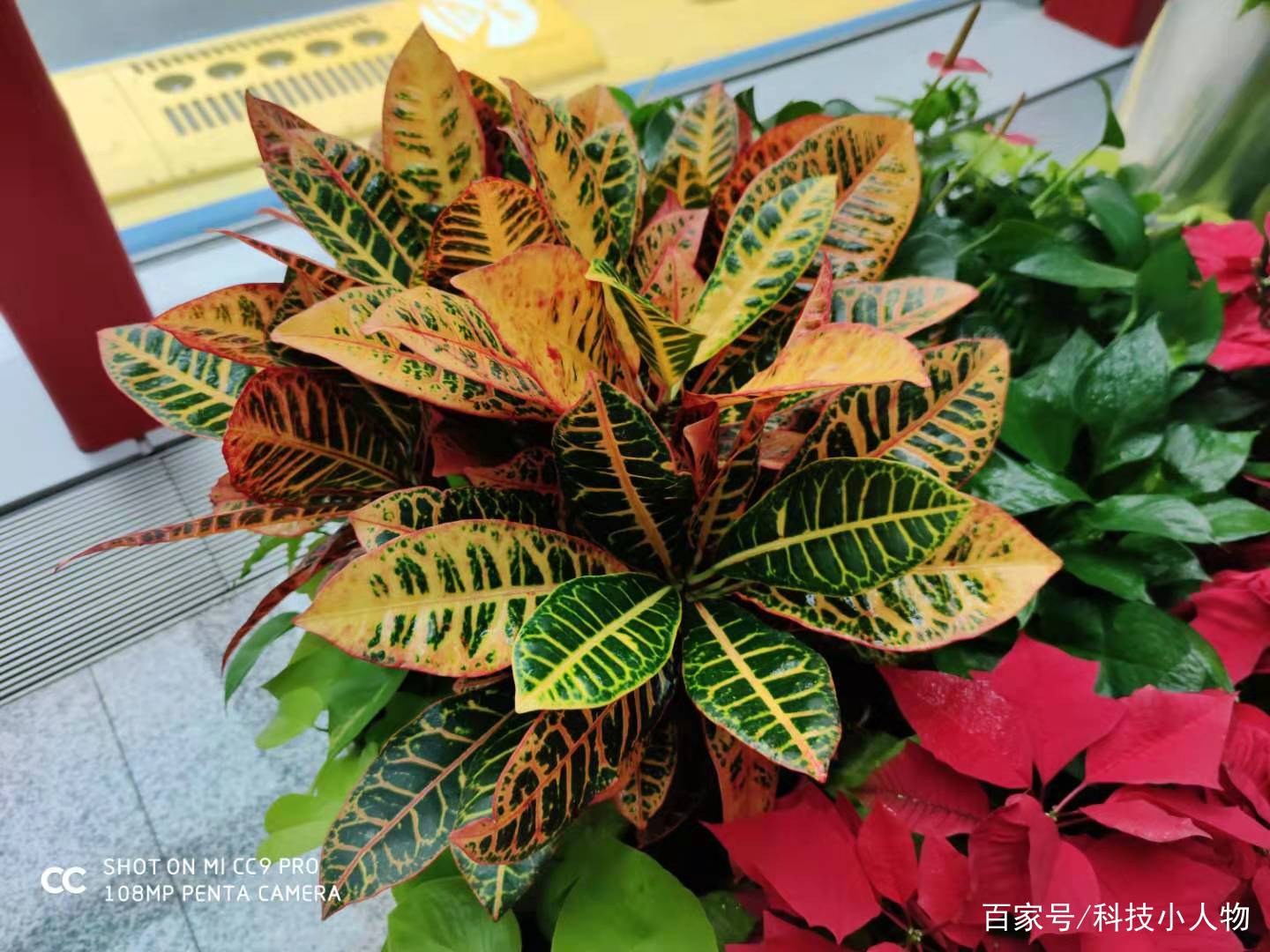 小米CC9 Pro，超一亿像素，堪比华为P30 Pro_百科TA说