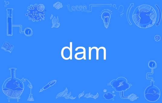 Dam（英语单词）_百度百科