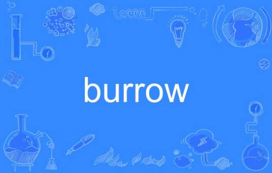 Burrow_百度百科