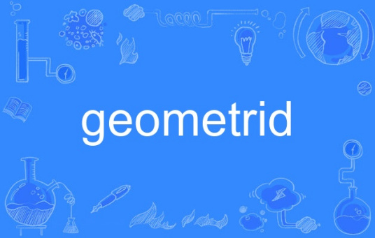 geometrid_百度百科
