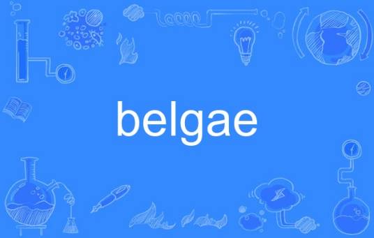 belgae_百度百科