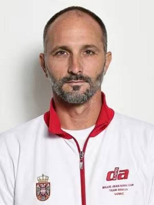 杜尚·维米奇_百度百科