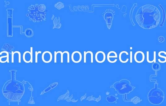 andromonoecious_百度百科