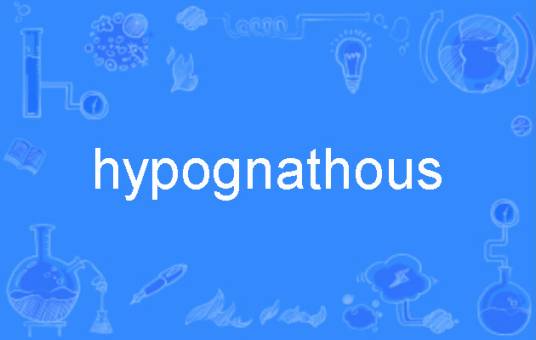 hypognathous_百度百科