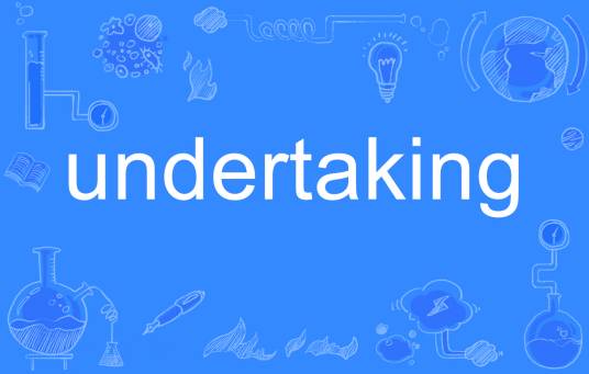 undertaking_百度百科