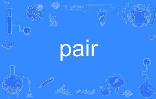 pair（英语单词）_百度百科