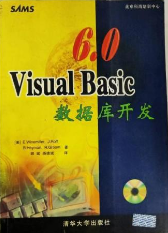 VisualBasic6.0 数据库开发_百度百科