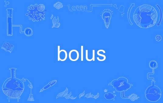 bolus_百度百科